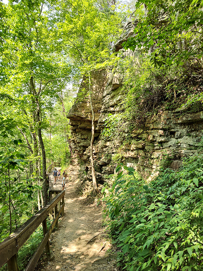 The trail hugs the canyon wall like it's afraid of heights. Wooden railings provide security while nature provides the show.