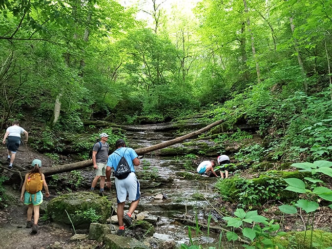 Colorful tents dot the landscape like modern-day wildflowers, proof that camping's greatest luxury isn't thread count but starlight and morning birdsong.