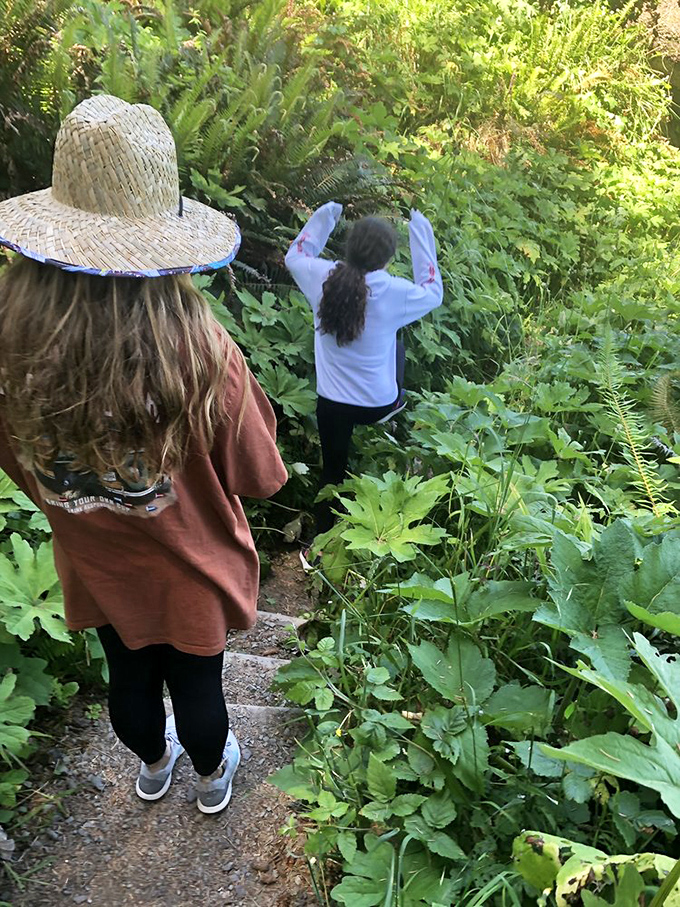 Kids discovering that the best playground equipment doesn't require batteries or Wi-Fi to work its magic.