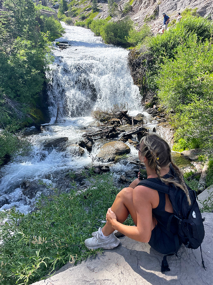 Alpine meadows burst with wildflowers along the trail, creating a natural carpet that would make any interior designer jealous.