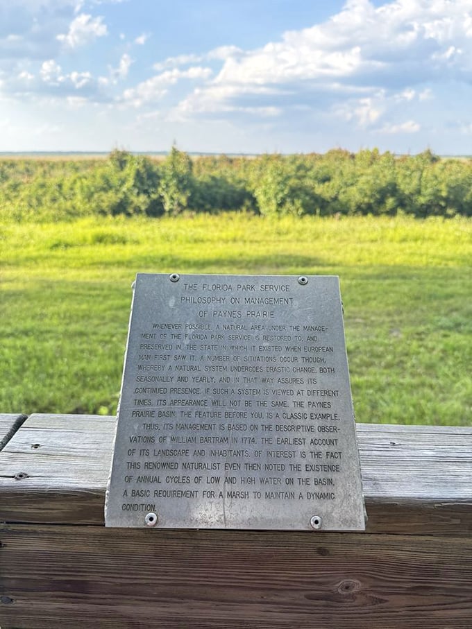 History lessons don't get better than this &ndash; where nature's story unfolds across millions of fascinating years.