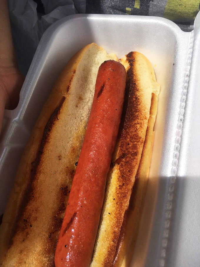 Even their hot dogs get the royal treatment, proving this place doesn't know how to make mediocre food.