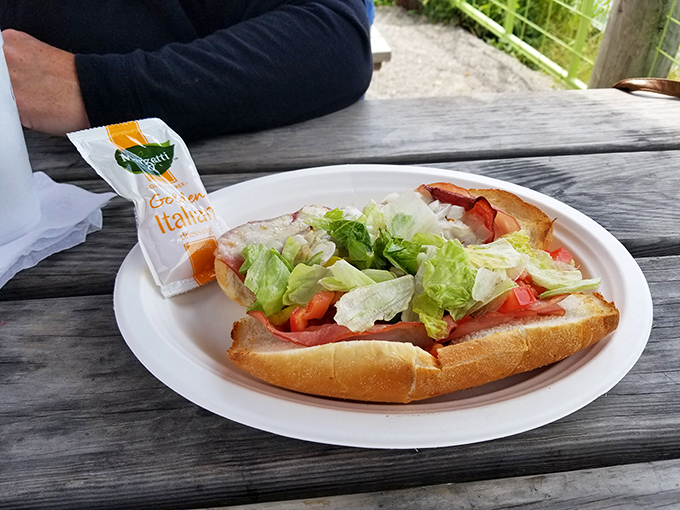 A sandwich with a view! Fresh ingredients piled high, ready to fuel your lakeside adventures at Buckeye Lake.