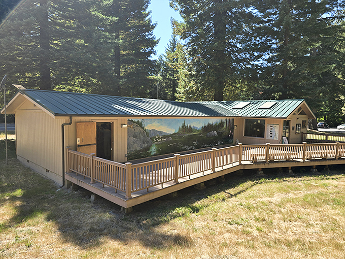 A rustic cabin nestled among towering pines. When retirement means waking up to birdsong instead of alarm clocks, places like this become more valuable than penthouses.