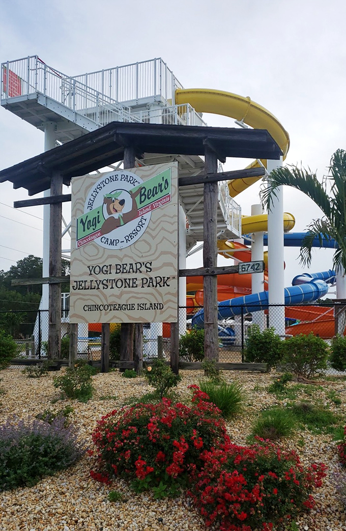 Yogi Bear's Jellystone Park brings family fun to island life with waterslides that promise the perfect combination of adrenaline and cooling relief on hot summer days.