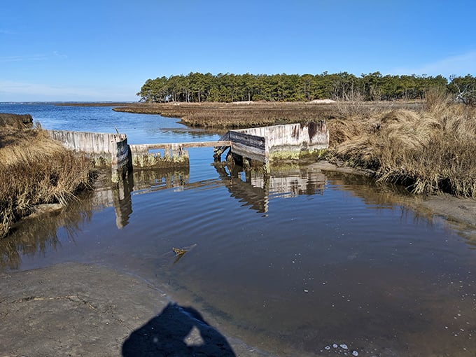 Nature and history harmonize at the water's edge, where weathered wooden remnants tell tales of Snow Hill's maritime past along the peaceful shoreline.