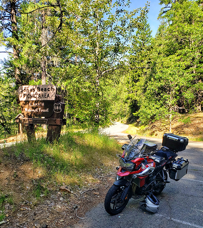 Jones Beach Picnic Area sign promises the simple pleasure of lunch with a view. The motorcycle suggests the journey there might be half the fun.