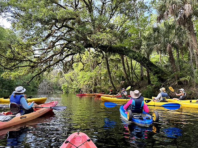A flotilla of colorful kayaks drifts beneath a natural cathedral of arching trees. Paddling here beats any gym membership.
