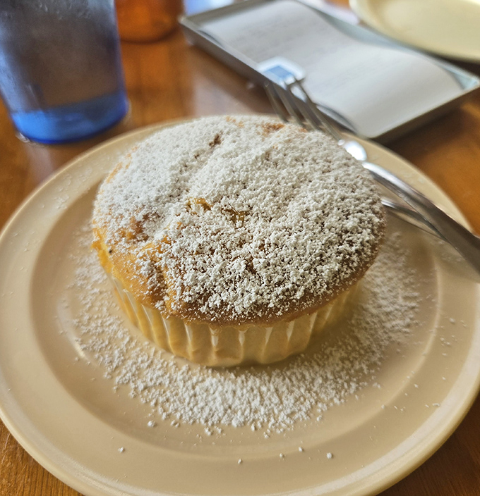The powdered sugar on this muffin isn't snow&mdash;it's Florida's version of culinary pixie dust, transforming an ordinary morning into something magical.