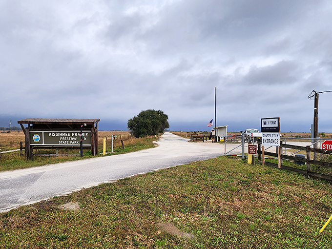 Kissimmee Prairie Preserve's entrance promises adventures that would make Indiana Jones trade his whip for hiking boots.