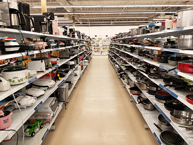 Kitchen alley: where retired slow cookers and coffee makers await their second act in someone else's morning routine.