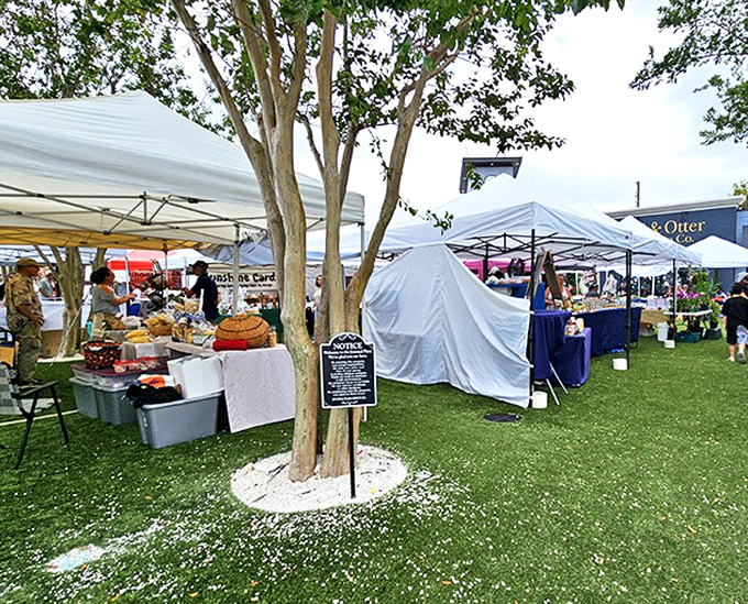 Where retirement dreams meet reality: a farmers market where conversations flow as freely as the local honey.