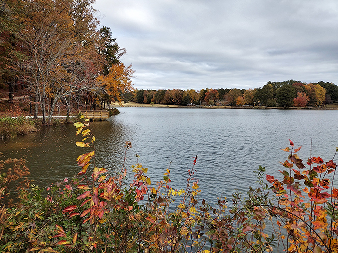 Lake Toccoa's autumn shoreline bursts with fiery colors. Mother Nature showing off her seasonal wardrobe change with all the subtlety of a Broadway costume designer.
