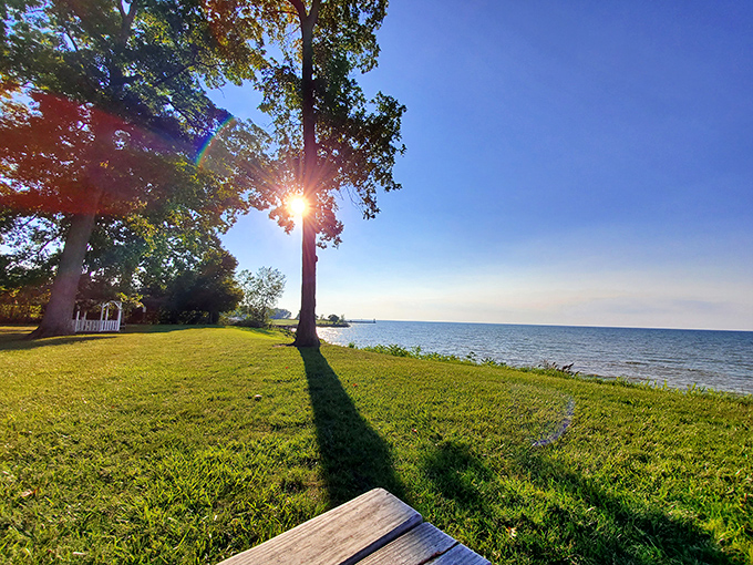 Golden hour transforms this lakeside lawn into a cathedral of light, where the only stained glass needed is the sun filtering through leaves.