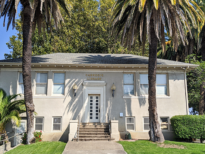Library Park offers that perfect spot where nature and civilization meet &ndash; like finding a quiet reading nook with the world's most spectacular backdrop.