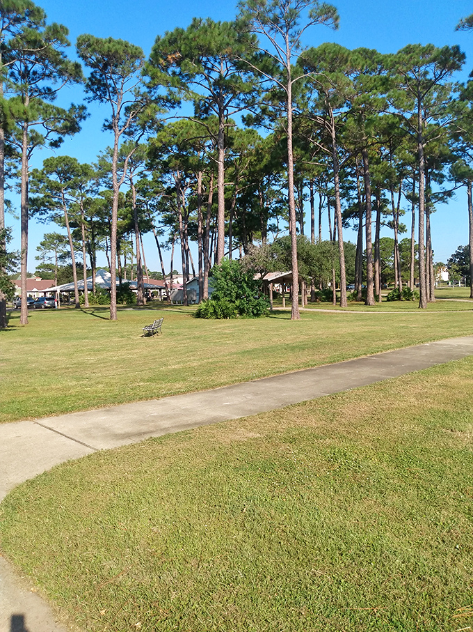 Tall pines stand sentinel over Liza Jackson Park's green expanse. The kind of place where "I'll just sit for five minutes" turns into a blissful hour.