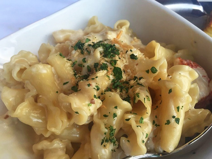 Lobster mac and cheese that would make your childhood self high-five your adult self. Creamy, indulgent, and worth every single calorie.