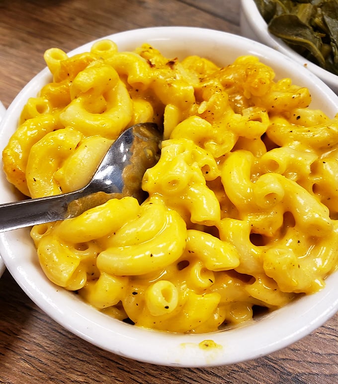 Mac and cheese that doesn't apologize for being exactly what it should be: unapologetically cheesy, creamy, and ready for its close-up.