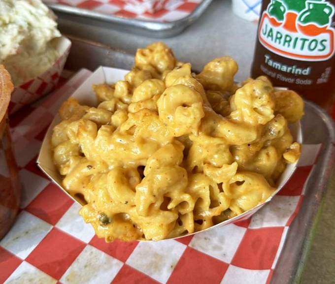Mac and cheese that doesn't know it's a side dish. This golden masterpiece is staging a delicious coup against the meat-centric hierarchy.