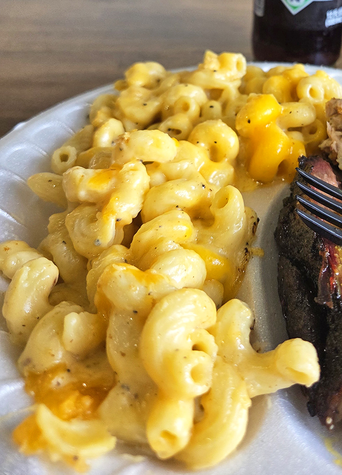 That golden mac and cheese glistens like liquid comfort food, creamy enough to make your grandmother weep with envy.