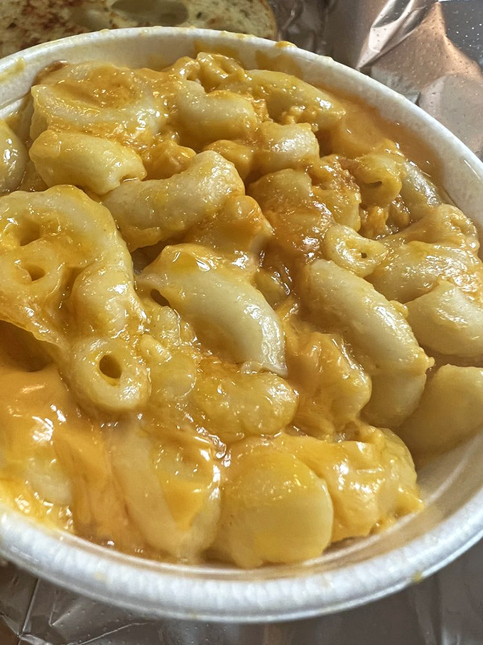 Mac and cheese that glows like liquid gold, proving that vegetables are optional when pasta this good exists.