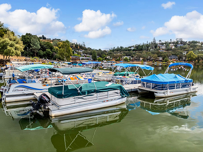 A flotilla of pontoons stands ready for adventure &ndash; like a retirement community for boats enjoying their golden years on glass-like water.