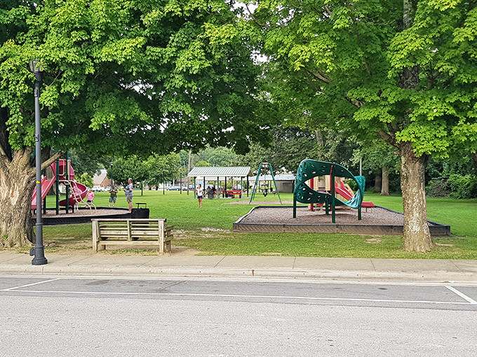 Memorial Park provides that increasingly rare commodity: actual space for children to run without hitting a screen. Green therapy at its finest.