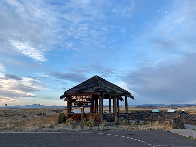 Discover Modoc Wildlife indeed&mdash;where else can you find world-class bird watching without world-class crowds?