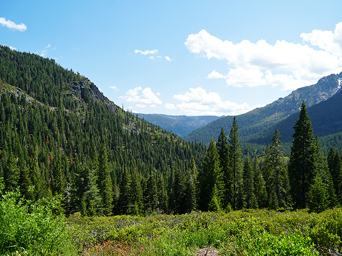 The Sierra Nevada mountains unfold like a painting too perfect to be real, with evergreens standing sentinel over valleys carved by ancient glaciers.