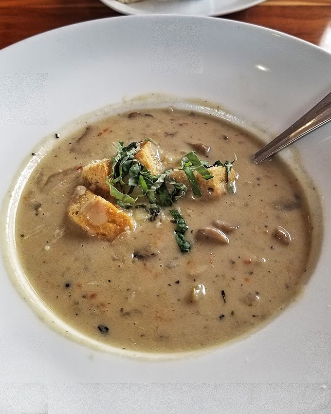 A bowl of mushroom soup that whispers, "Cancel your afternoon plans." Creamy, earthy perfection that makes you wonder why anyone eats anything else.