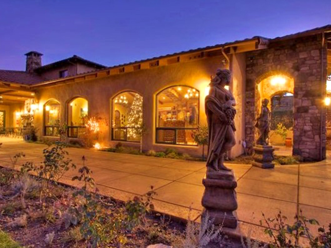 Rows of vines catching Sierra foothill sunshine, proving gold isn't the only treasure in these hills.
