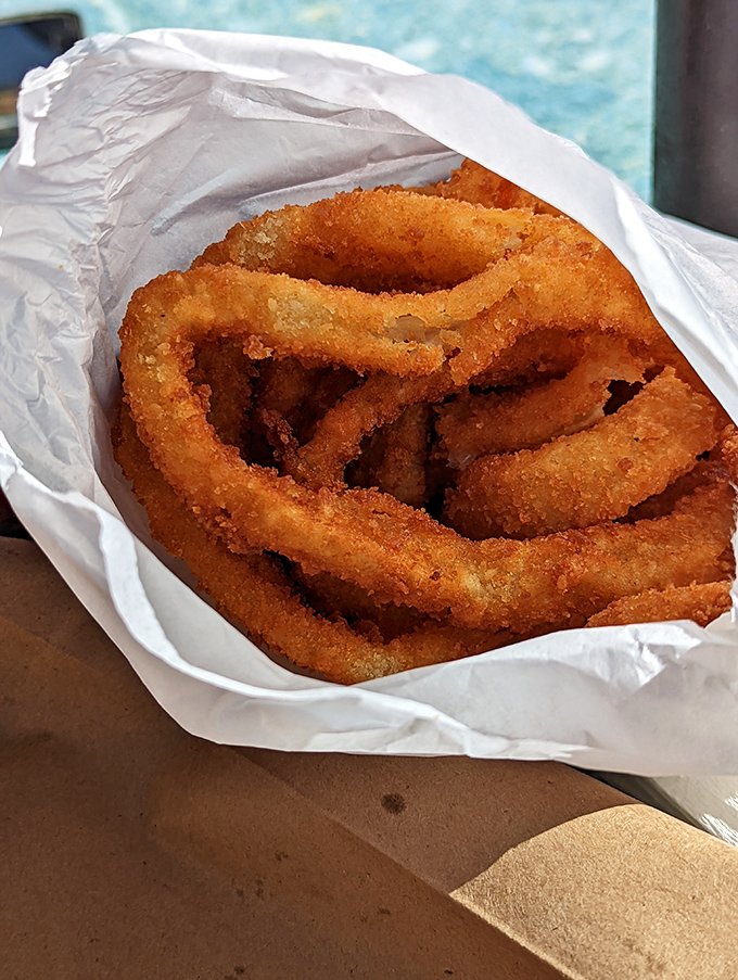 Onion rings that shatter with satisfying crispness. These golden halos of happiness make you wonder why anyone bothers with fancy appetizers.