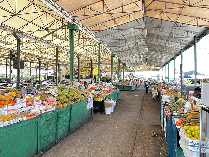 The produce section rivals any supermarket, with pyramids of tropical fruits basking under the Florida sun like vacationers on South Beach.