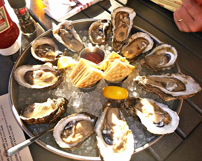 Oysters on the half shell&mdash;nature's perfect appetizer, requiring nothing more than a squeeze of lemon and a moment of silent appreciation.