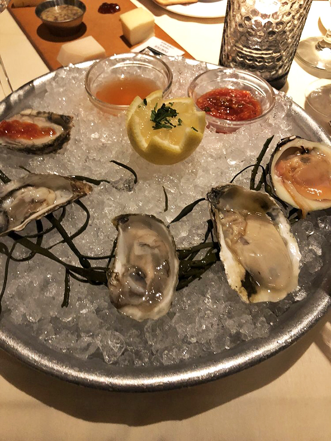 Oysters on ice—nature's perfect appetizer. Like little briny treasures from the sea, just waiting for a squeeze of lemon.