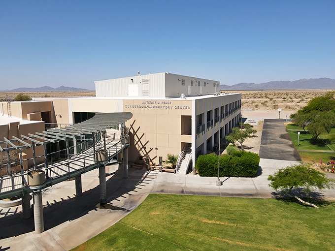 The Palo Verde Historical Museum preserves the area's rich past, its stone facade housing stories of pioneers who saw potential in this desert frontier.