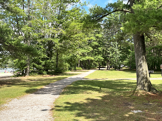Not all who wander are lost, especially on this serene pathway where dappled sunlight plays hide-and-seek through the canopy.
