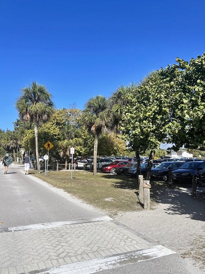 The parking situation proves even paradise needs a good traffic flow plan sometimes.