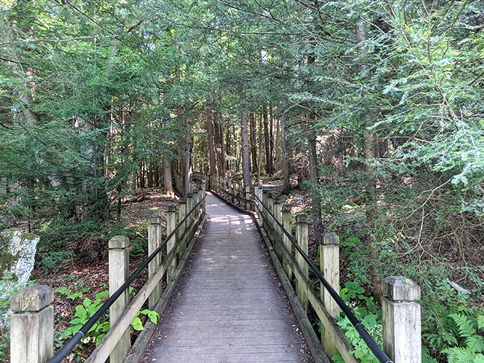 This wooden boardwalk isn't just a path&mdash;it's an invitation into a cathedral of hemlocks where the sermon is delivered by rustling leaves.