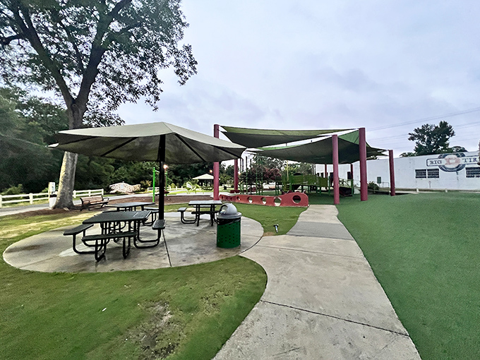 Pearson Park offers shaded picnic areas where your retirement schedule allows for Tuesday lunch just because you can. Freedom tastes better outdoors. 