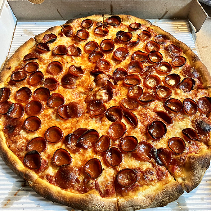 Pepperoni pizza perfection—each cup-shaped pepperoni creating a tiny pool of flavor that proves sometimes the classics need no improvement.