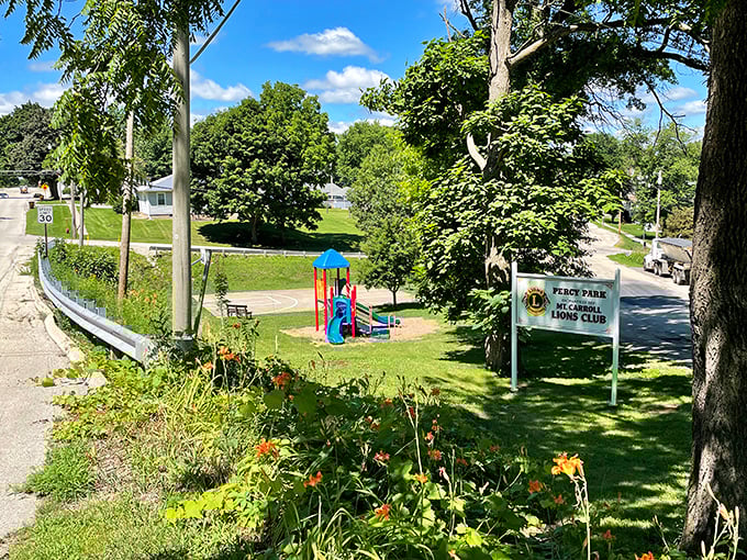 Percy Park offers that quintessential small-town green space where generations of Mount Carroll families have gathered for picnics and playground adventures.