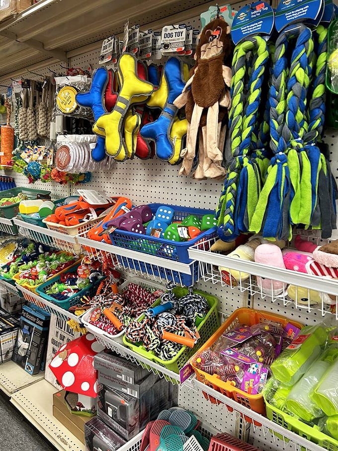 The pet section is a wonderland of colorful toys that promise to make Fido forget you left him alone while you went shopping.