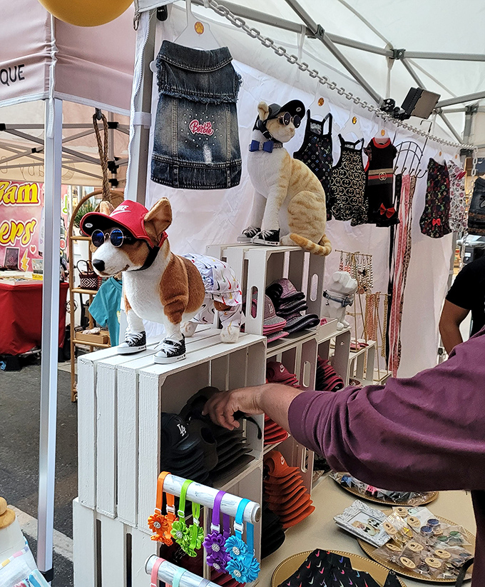 Even your four-legged family members get the VIP treatment with adorable outfits and essential accessories.