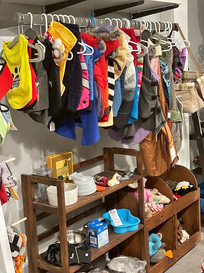 Tiny treasures for tiny friends! The pet section offers gently-used essentials, proving secondhand shopping isn't just for humans in this animal-loving establishment.