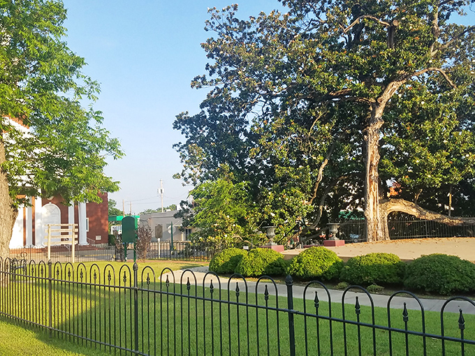 Peterson Park's gazebo stands like a Victorian-era time capsule, surrounded by blooming crepe myrtles and inviting benches perfect for contemplating life's simpler pleasures.