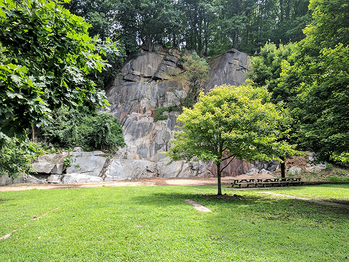 Nature's amphitheater: towering rock walls cradle a verdant lawn, creating the perfect picnic spot for those who prefer geology with their sandwiches.