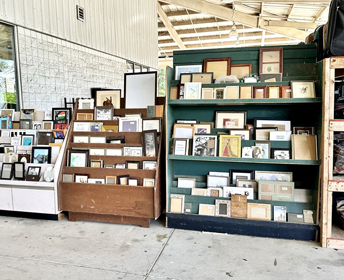 A gallery wall waiting to happen. These frames hold the potential for your memories or that quirky art collection you've been meaning to start.