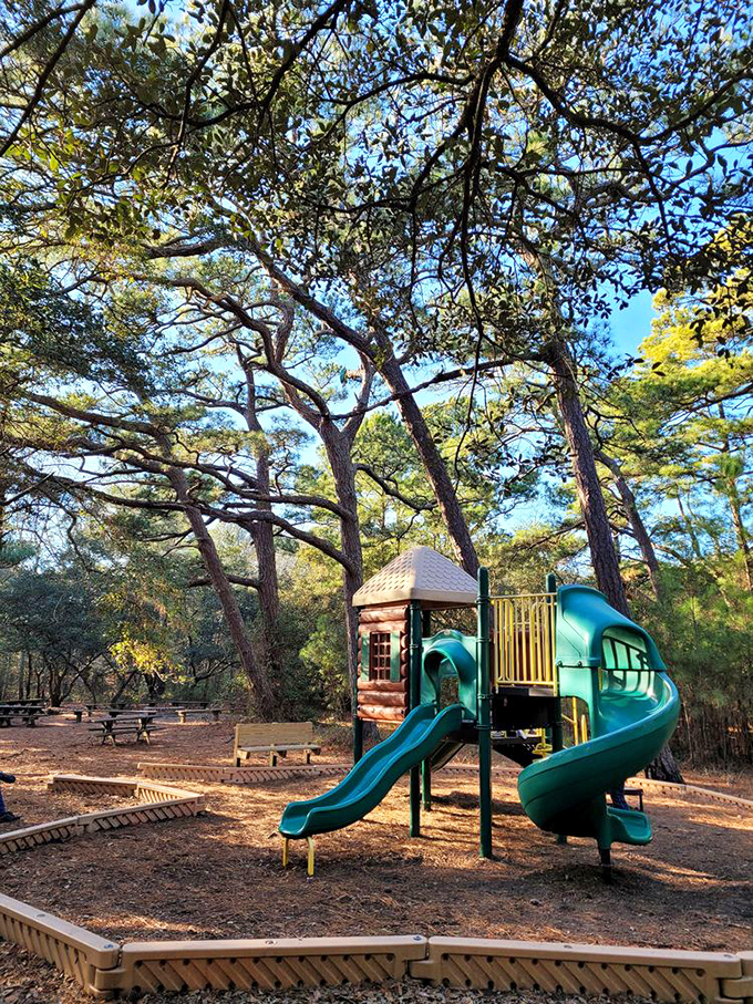 Childhood joy nestled among ancient pines&mdash;this playground proves that "going outside to play" still trumps screen time in nature's ultimate gaming arena. 