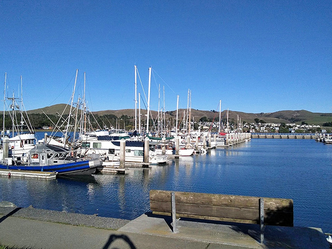 Not a yacht club in Monaco, but something infinitely more authentic &ndash; working boats that actually work, bringing tonight's seafood special to your plate.
